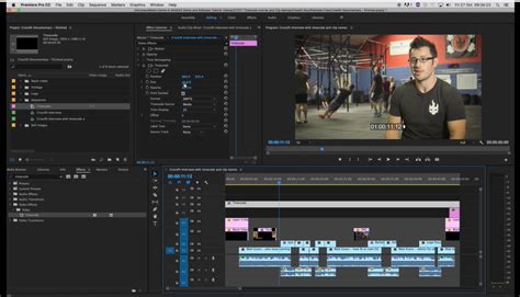 3 Tools To Convert Subtitle To Xml For Adobe Premiere Pro Hollyland