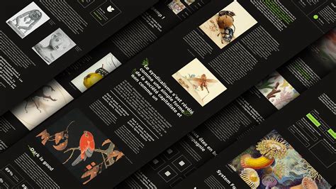 Radical Free Template UI Kit Adobe Xd On Behance