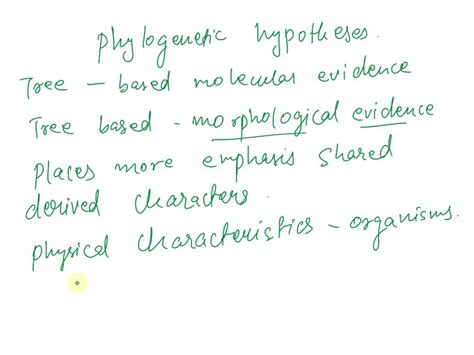 Solved The Phylogenetic Tree Shows A Simplified Hypothesis Of The Evolutionary Relationships
