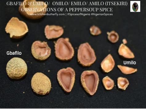 The Journey To Names And Provenance Umilo And Gbafilo Kitchen Butterfly