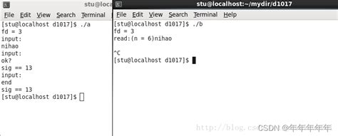 linux进程通信之无名管道（pipe）和有名管道（fifo） 无名和有名管道哪个是常用的管道类型 csdn博客