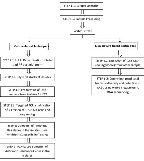 Isolation And Identification Of Waterborne Antibiotic Resistant Bacteria And Molecular
