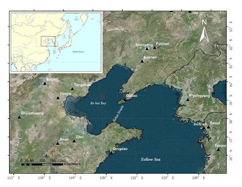 The Sub Bottom Profile Surveying Area In Bohai Bay Iii Materials And Download Scientific