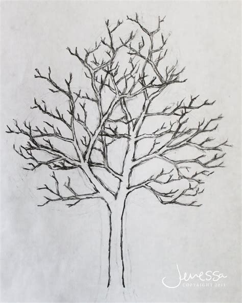 JMarieMi How To Draw A Tree JMarieMi How To Draw A Tree