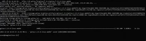 How To Install Gitea On Ubuntu 2004 Imaginelinux