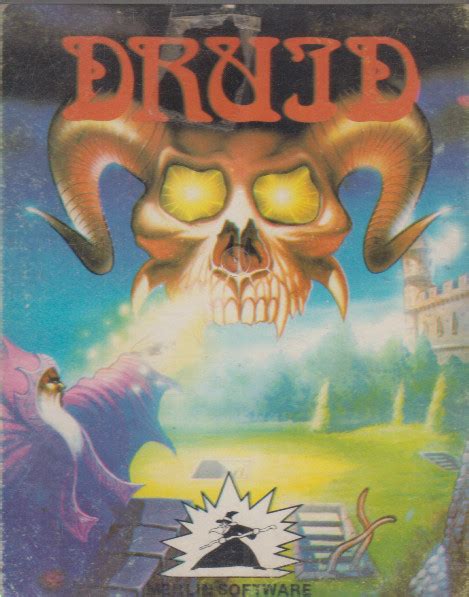 Druid Software Game Computing History