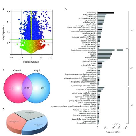 expression profiling and go enrichment of differentially expressed