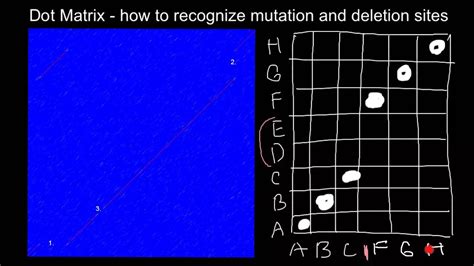 Bioinformatics Examples And Interpretations Of The Dot Plots 4 Dot