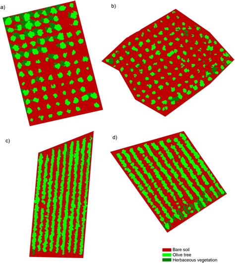 Classification Outputs Generated By The Obia Algorithm Developed In