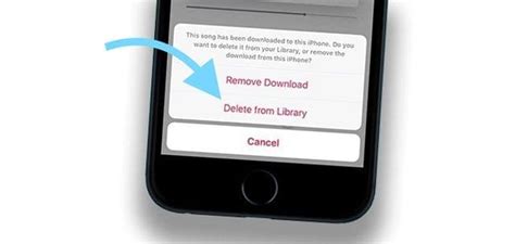 How To Fix Apple Music Not Working On IPhone IPad AppleToolBox