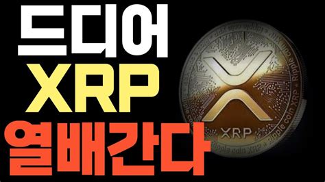 드디어 리플 열 배 간 다 그 이유는 Youtube