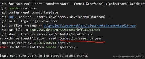 git拉取代码报错：kex_exchange_identification: read: Connection reset by peer Connection reset by 116.63 ...