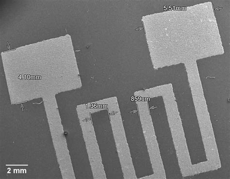 Sem Image Of The Screen Printed Carbon Electrode With Dimensions Of Download Scientific Diagram