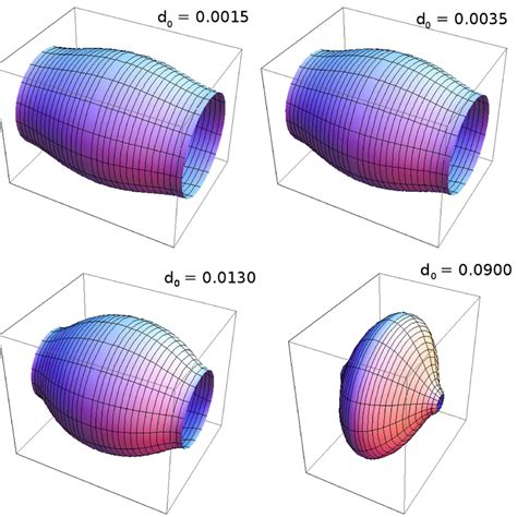 Figure Embedding of the horizon in an euclidean space for d Λ Download Scientific