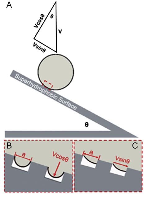 Figure 1 From Drop Impact On Inclined Superhydrophobic Surfaces
