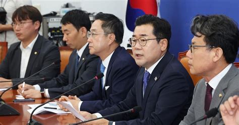 민주 김 여사 가야할 곳은 마포대교·체코 아닌 특검 조사실