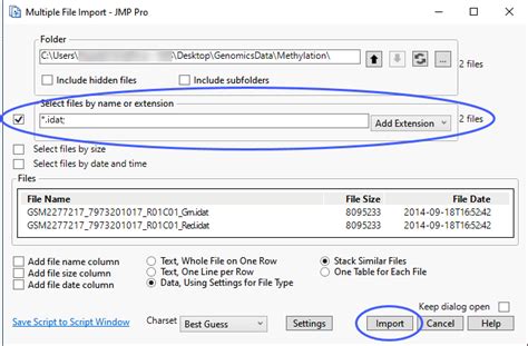 Importing Data From IDAT Files
