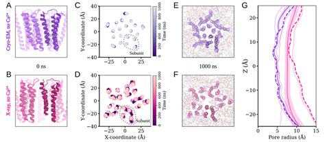 Behaviour Of The Transmembrane Domain In Molecular Dynamics Download Scientific Diagram