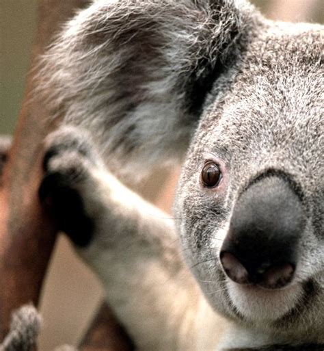 How To Use Opencv Stitcher Class With Python Stack Overflow