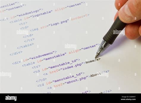 A Programmer Man Pointing With His Pen At HTML Code For A Web Page
