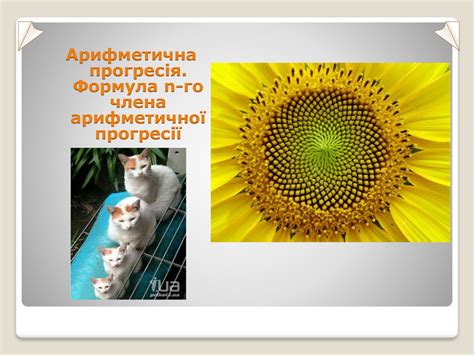Презентація Урок лекція алгебра 9 клас Арифметична прогресія її властивості Формула N го