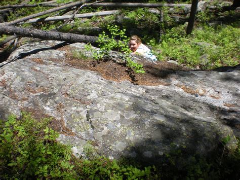 Uwharrie Mountains And Pee