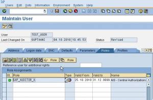 User Master Record Sap Security Pages
