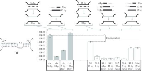 sex factor conjugation efficiency of the ll ltrb s8dorf variants