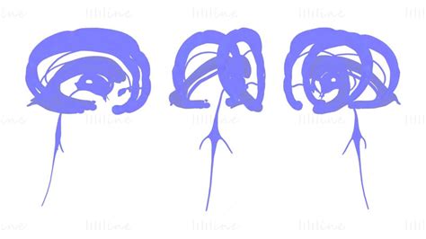 Limbic System Anatomy Medical 3d Model