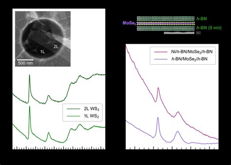 Fig Si5 Near Field Coupling Of Graphite Encapsulated Tmd Few Layers