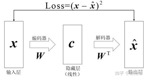编码器 解码器模型（encoder decoder 知乎