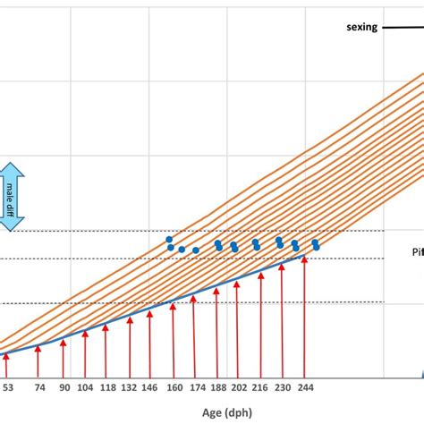 Design Of The Experiment Projected Body Length At 16C From Download Scientific Diagram