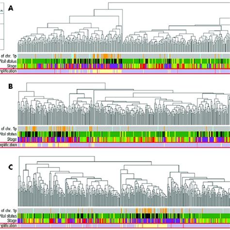 Hierarchical Clustering Of The Target Project Gene Expression Data At Download Scientific