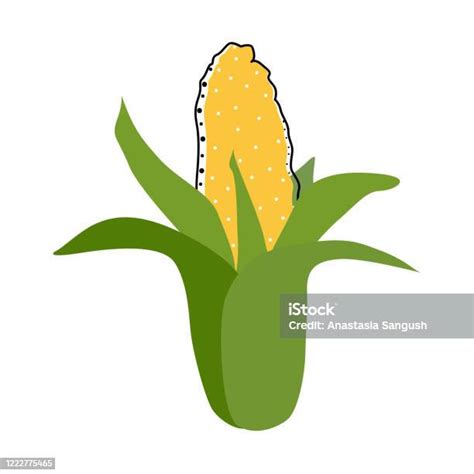 플랫 옥수수 고립 벡터 그림입니다 건강한 라이프 스타일 디자인을위한 패턴 스칸디나비아 스타일입니다 채식 여름 배경입니다 부엌 예술 신선한 포스터 0명에 대한 스톡 벡터 아트