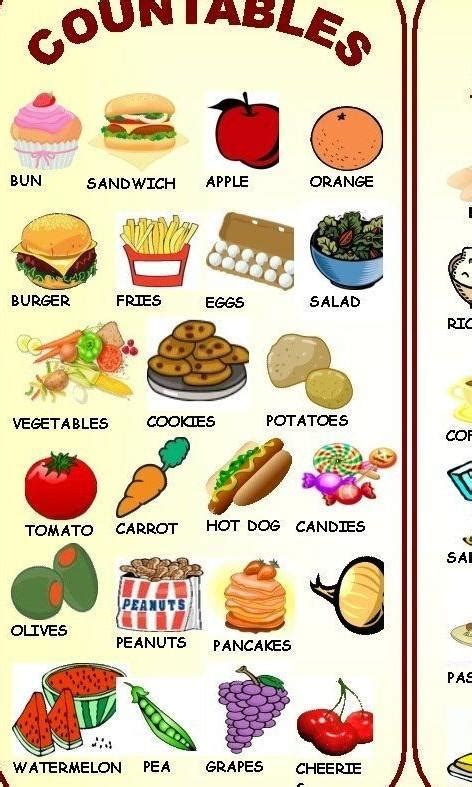 Lista De Alimentos Contables E Incontables En Ingles Y Español