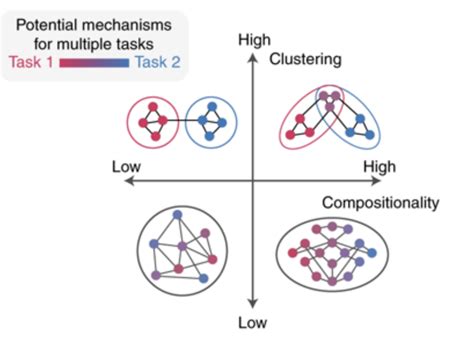 Multitasking Neural Networks Balance Specialization With Flexibility