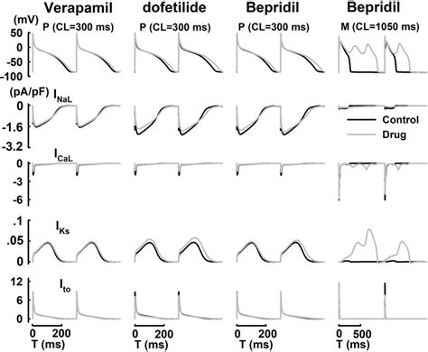 Steady State Ap Alternans And Underlying Ionic Currents With The