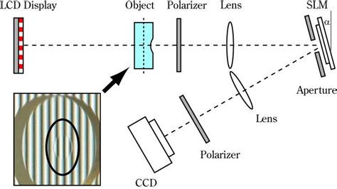 Experimental Setup Shear Interferometer With A Spatial Light Modulator Download Scientific