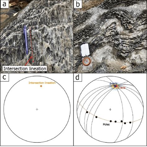A B Intersection Lineation And Fold In Site 4 3 C Projection Of Download Scientific