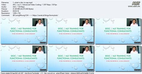 realtime idoc training for sap consultants with business softarchive