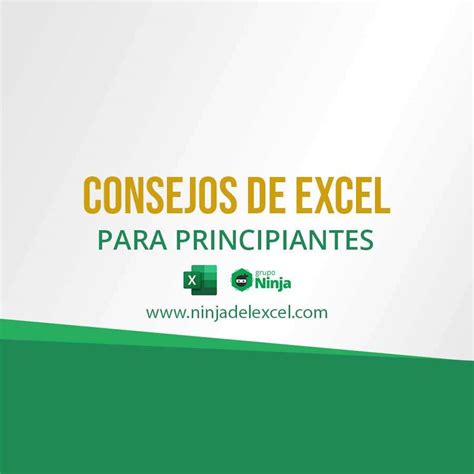 consejos de excel para principiantes increíbles ninja del excel