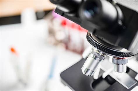 Xceler8 Automated Nucleic Acid Extraction System Genomax