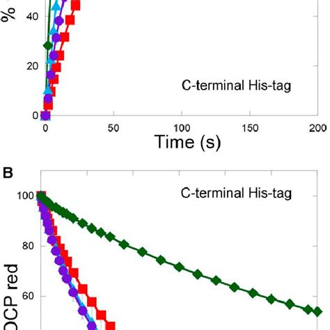 Photoactivation OCP O To OCP R A And Dark OCP R To OCP O B Download Scientific Diagram