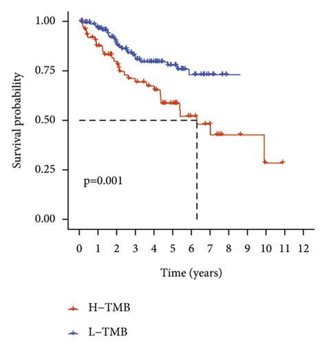 correlation analysis of prognostic signature with tmb a the
