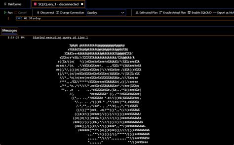 Anyone Else Hide Ascii Art Pics Of Their Pet In Their Code ProgrammerHumor Io