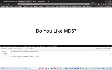 Md5绕过 Csdn博客