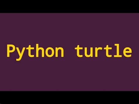 Turtle Python
