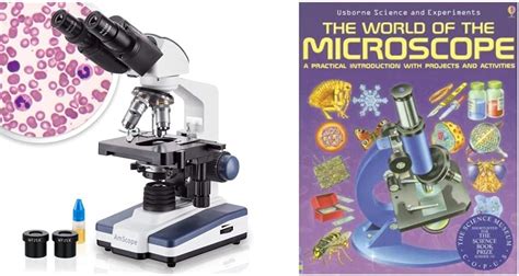 Amscope B120c Siedentopf Binocular Compound India Ubuy