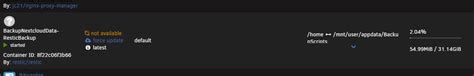 Backup Scripts Combining Restic And Rclone General Unraid