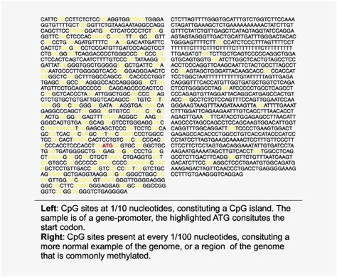 Illustration Of Nucleotide Base Sequence Showing Mulitple X PNG Download PNGkit